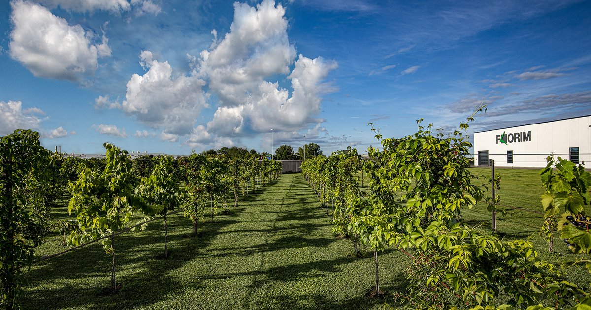 Florim among the Top 100 Sustainable Companies in Italy | Florim